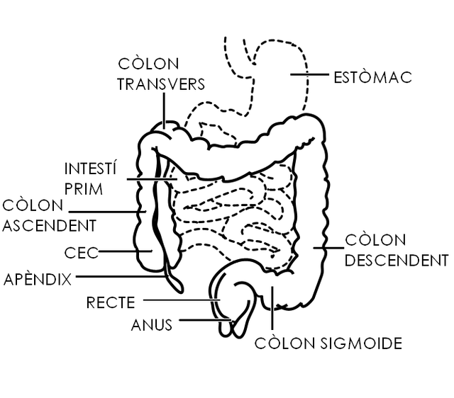 Sundhed og psykologi